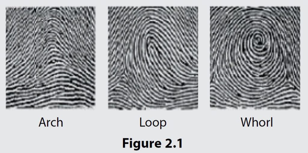 Summative Practice Chapter 12 - Question 2 (Form 5 Biology Textbook ...