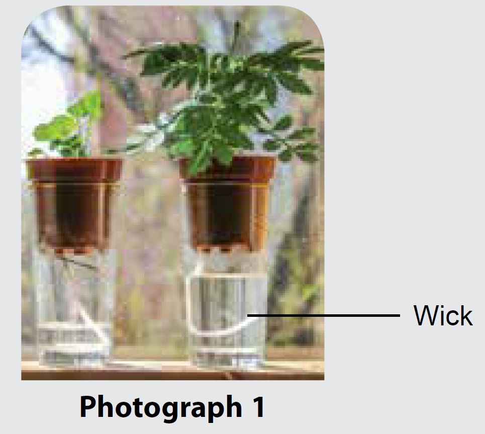 Summative Practice Chapter 3 - Question 3, 4 & 5 (Form 5 Biology ...